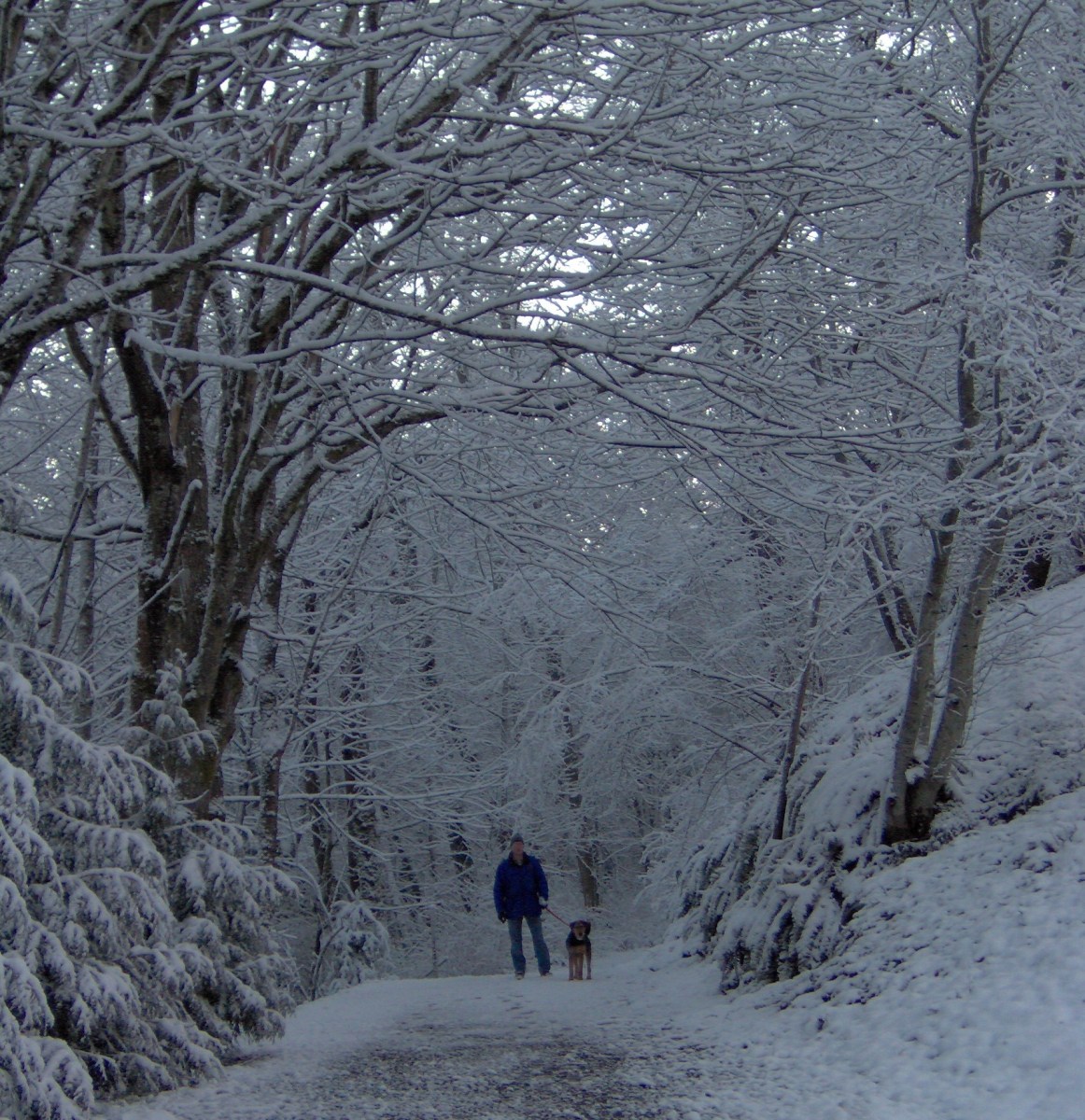 Walking Meditation – A Quiet Walk